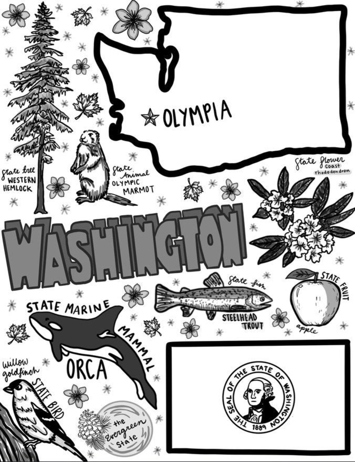 Washington Coloring Page - Etsy