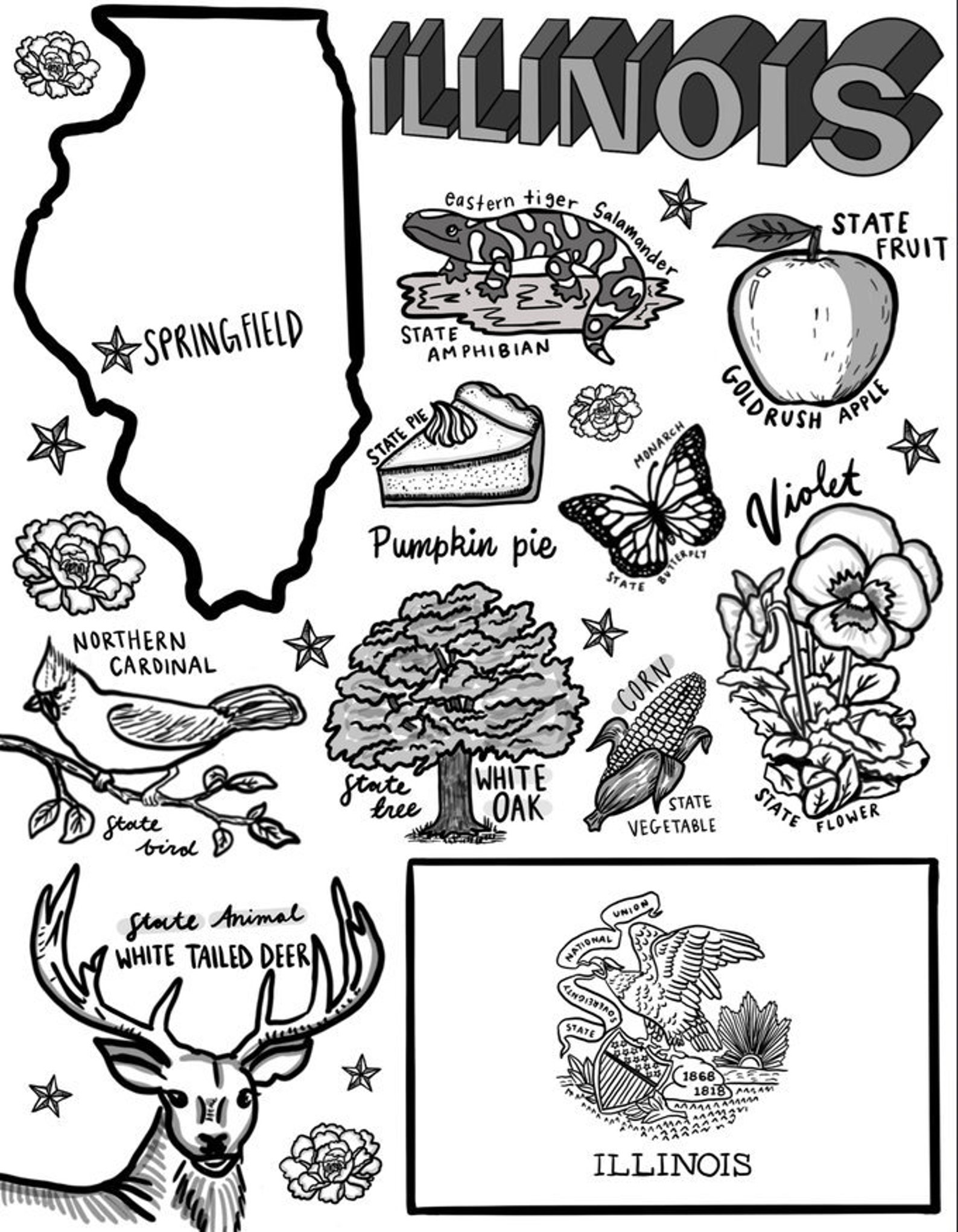 Illinois Coloring Page - Etsy