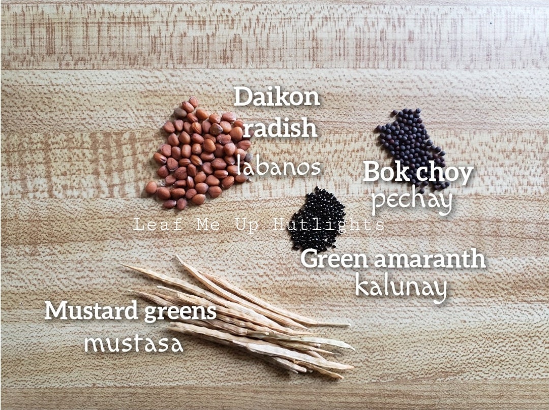 Asian Vegetable Seeds MIX (daikon Radish, Bok Choy, Green Amaranth and ...