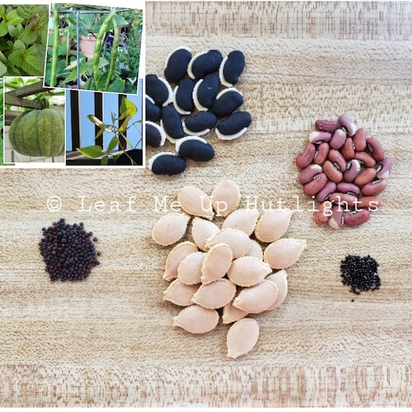 Veggie Seeds - Etsy