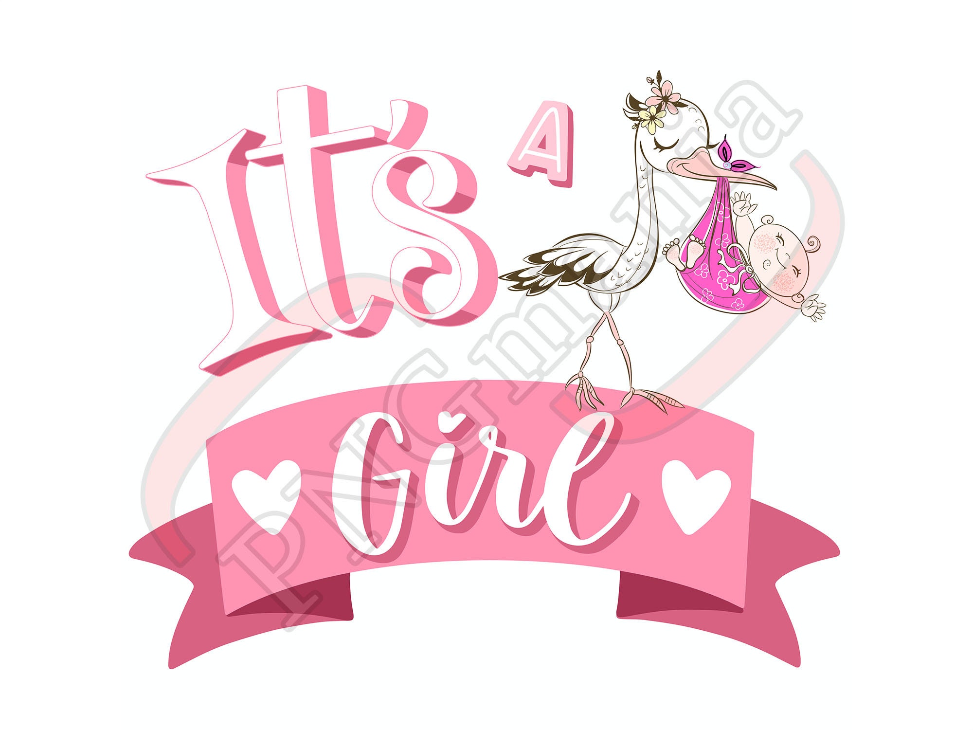 It's a Girl PNG JPG PDF Gender Reveal Png Stork - Etsy Canada