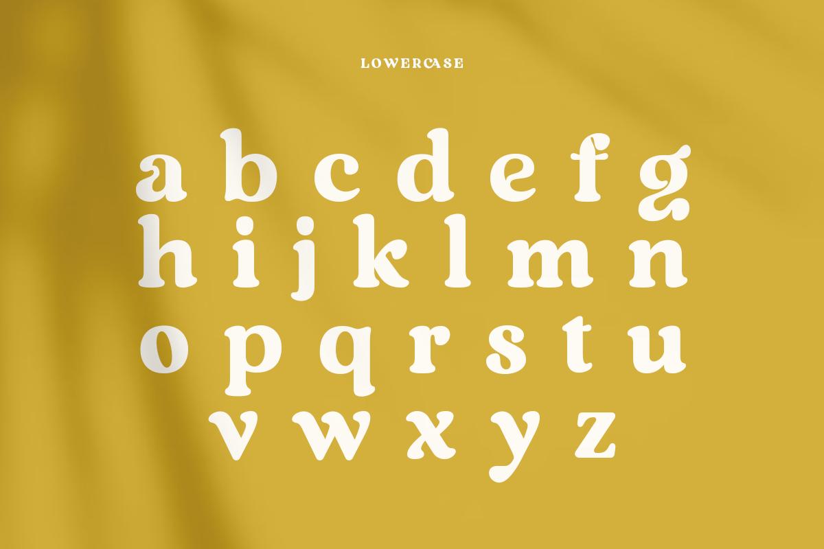 Regards - Modern Retro Serif - Etsy