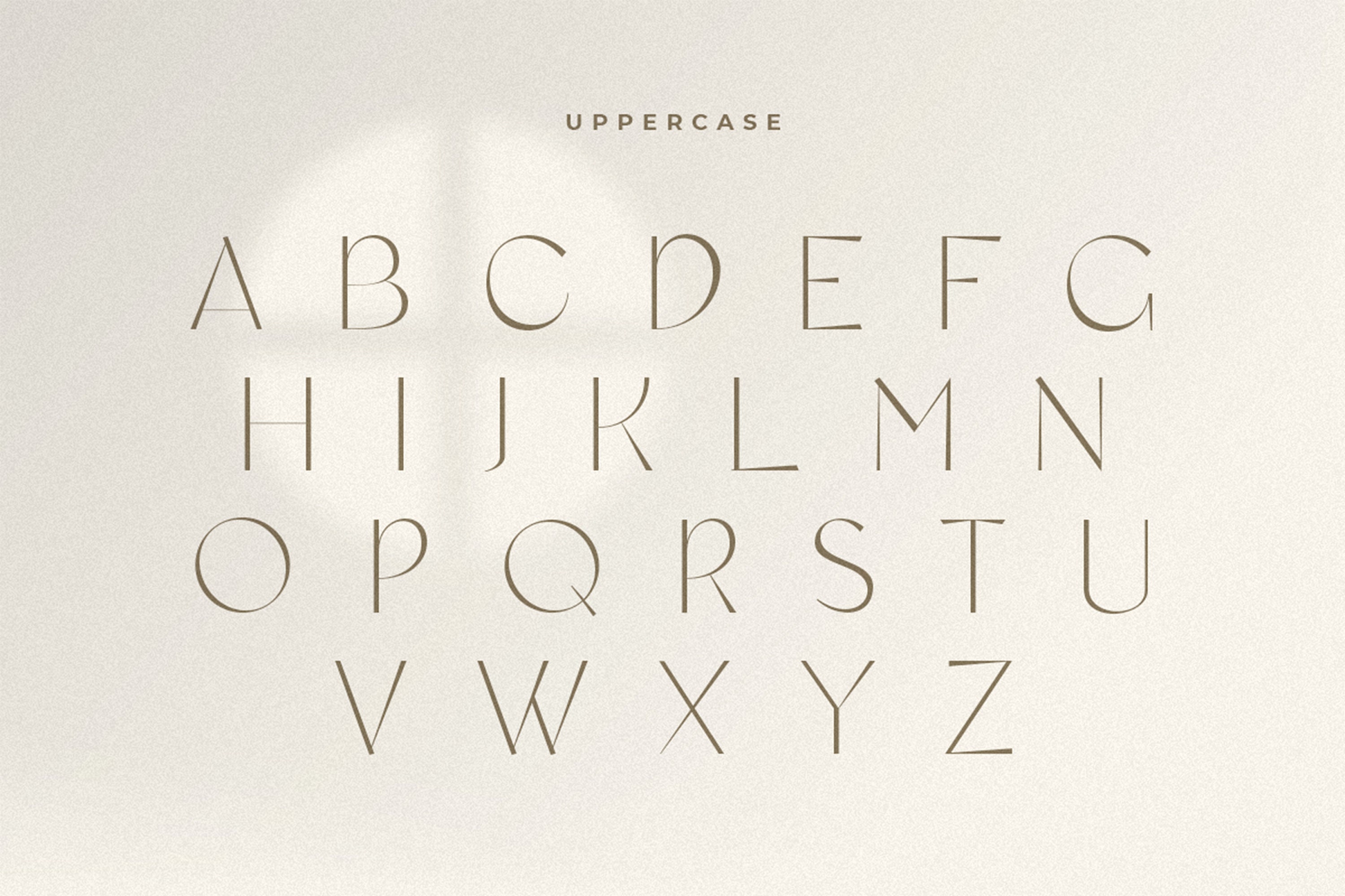 Noah Elegant Ligature Font,logo Font,digital Font,handwritten,feminine ...