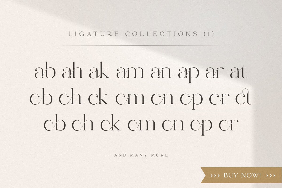 Abigail - Unique Ligature Font, Cursive Font, Commercial Font, Modern ...