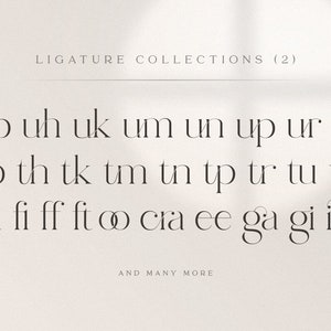 Abigail Ligature Font: Elegant Cursive Font (OTF, TTF, WOFF) - Etsy