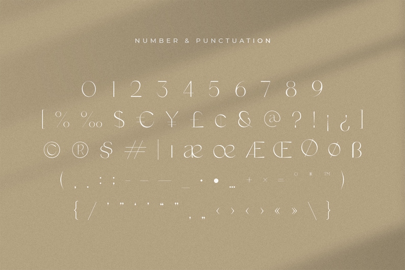 Noah Elegant Ligature Font: Modern Script for Logos - Etsy
