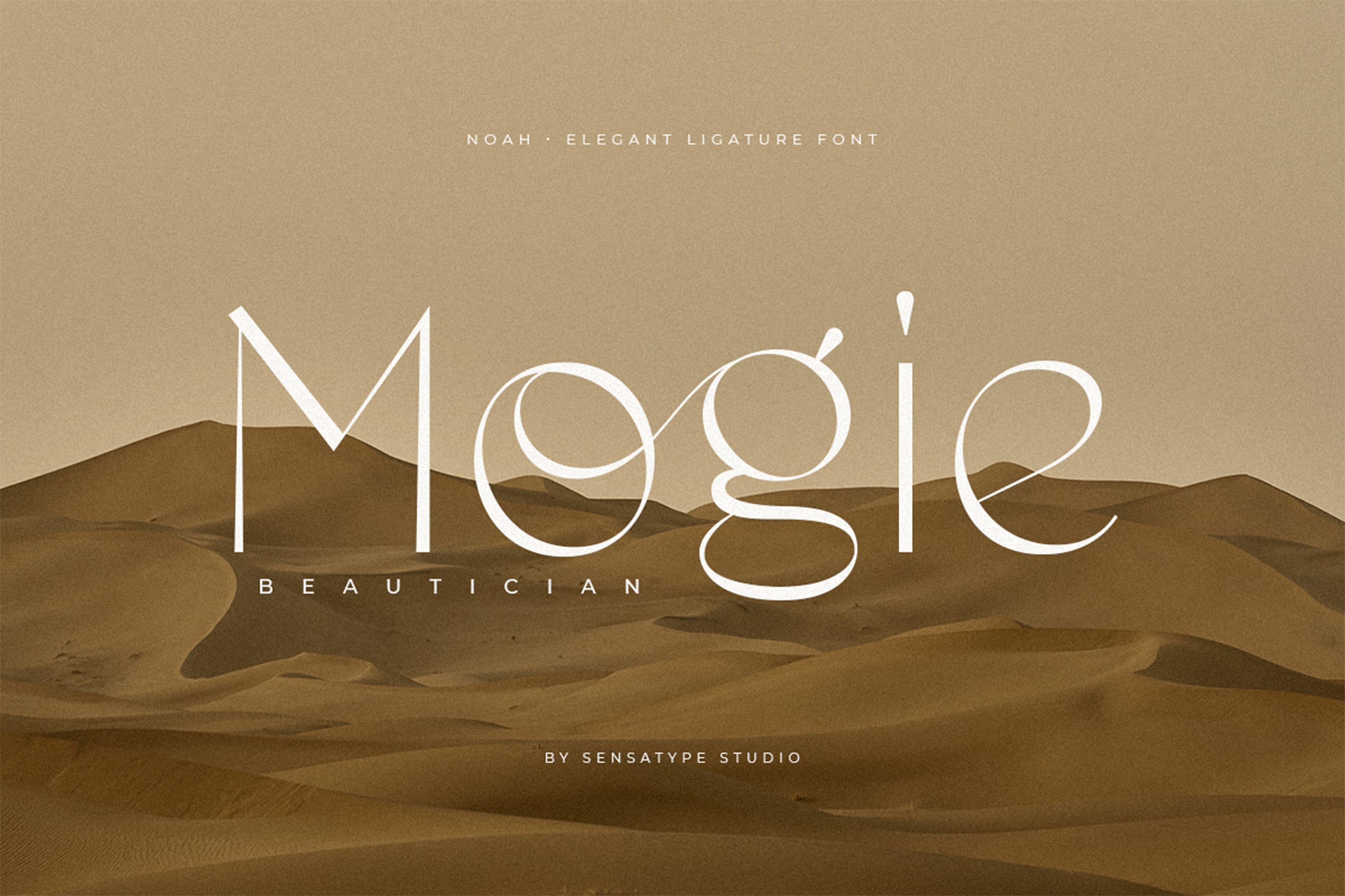 Noah Elegant Ligature Font,logo Font,digital Font,handwritten,feminine ...