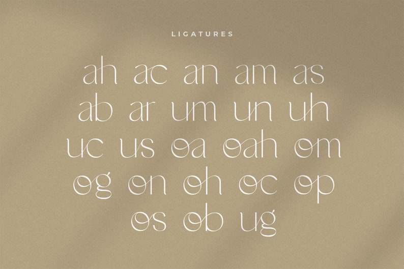 Noah Elegant Ligature Font: Modern Script for Logos - Etsy