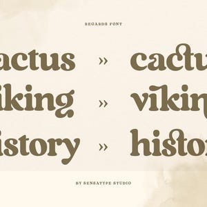 Regards - Modern Retro Serif - Etsy