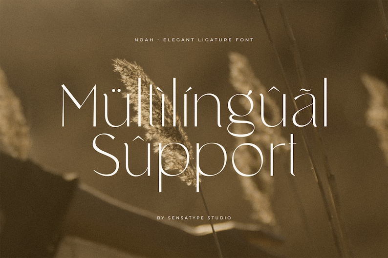 Noah Elegant Ligature Font: Modern Script for Logos - Etsy