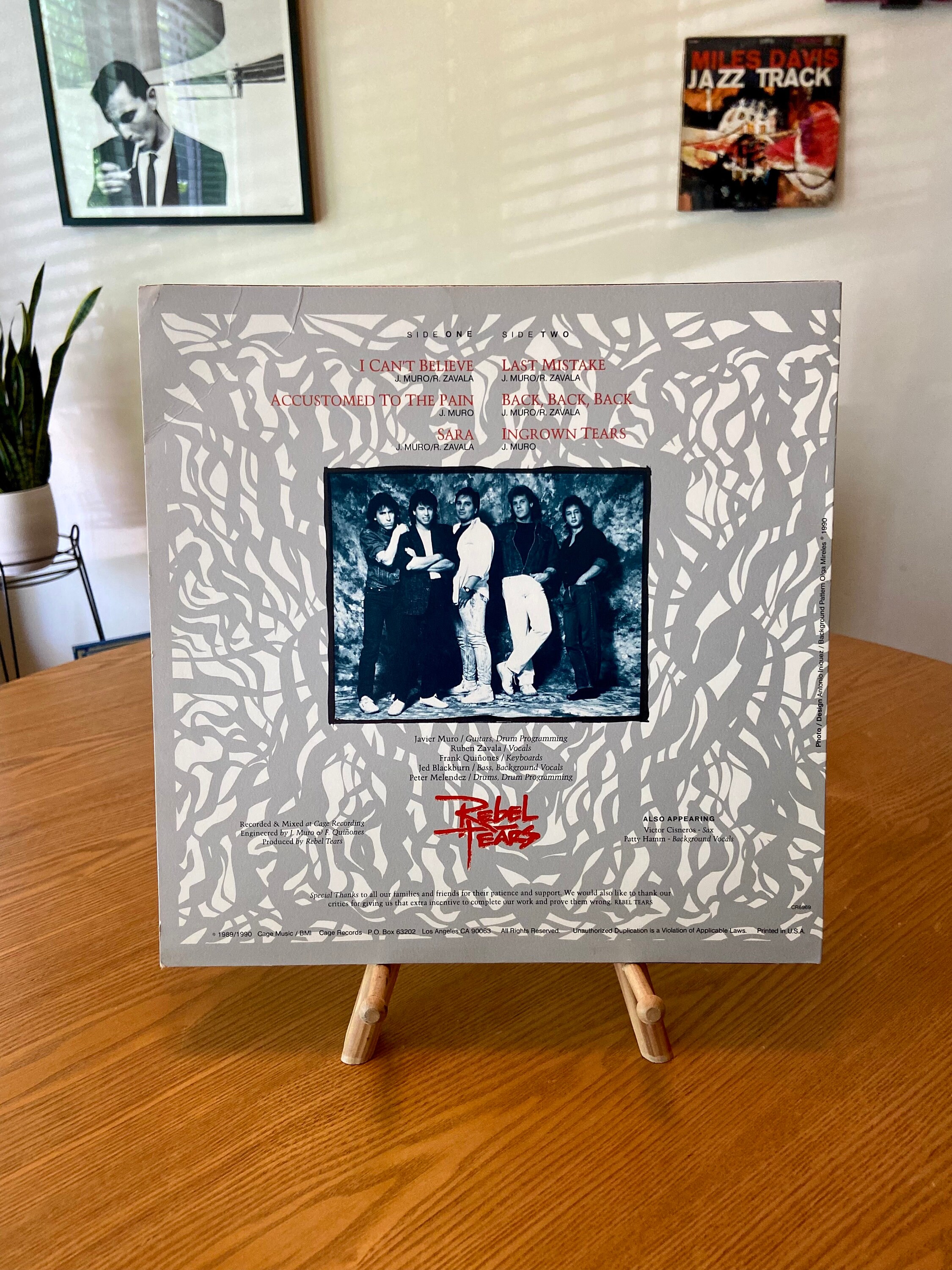 Rebel Tears rebel Tears Vintage LP 1989 - Etsy