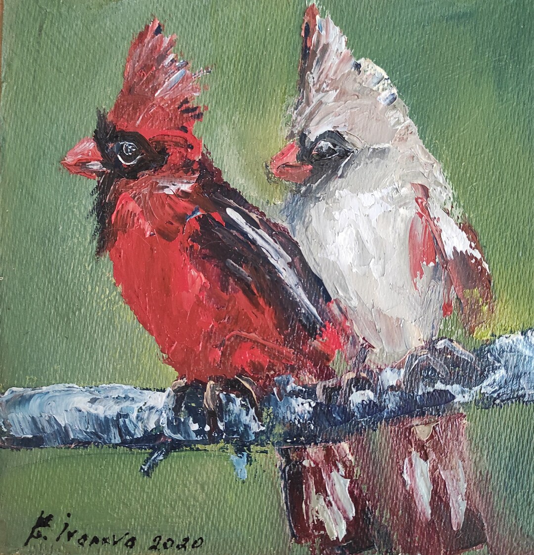 Robin Cardinal Bird Red White Pair Durable Green Postcard Gift ...
