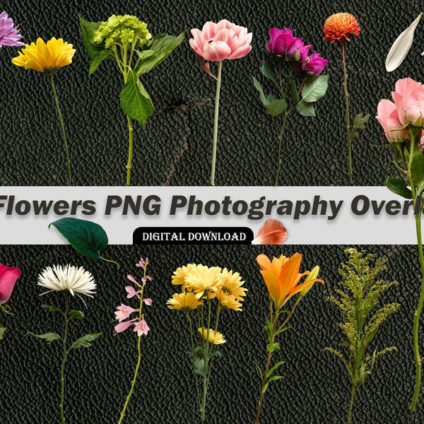 Transparent Overlays Flowers - Etsy