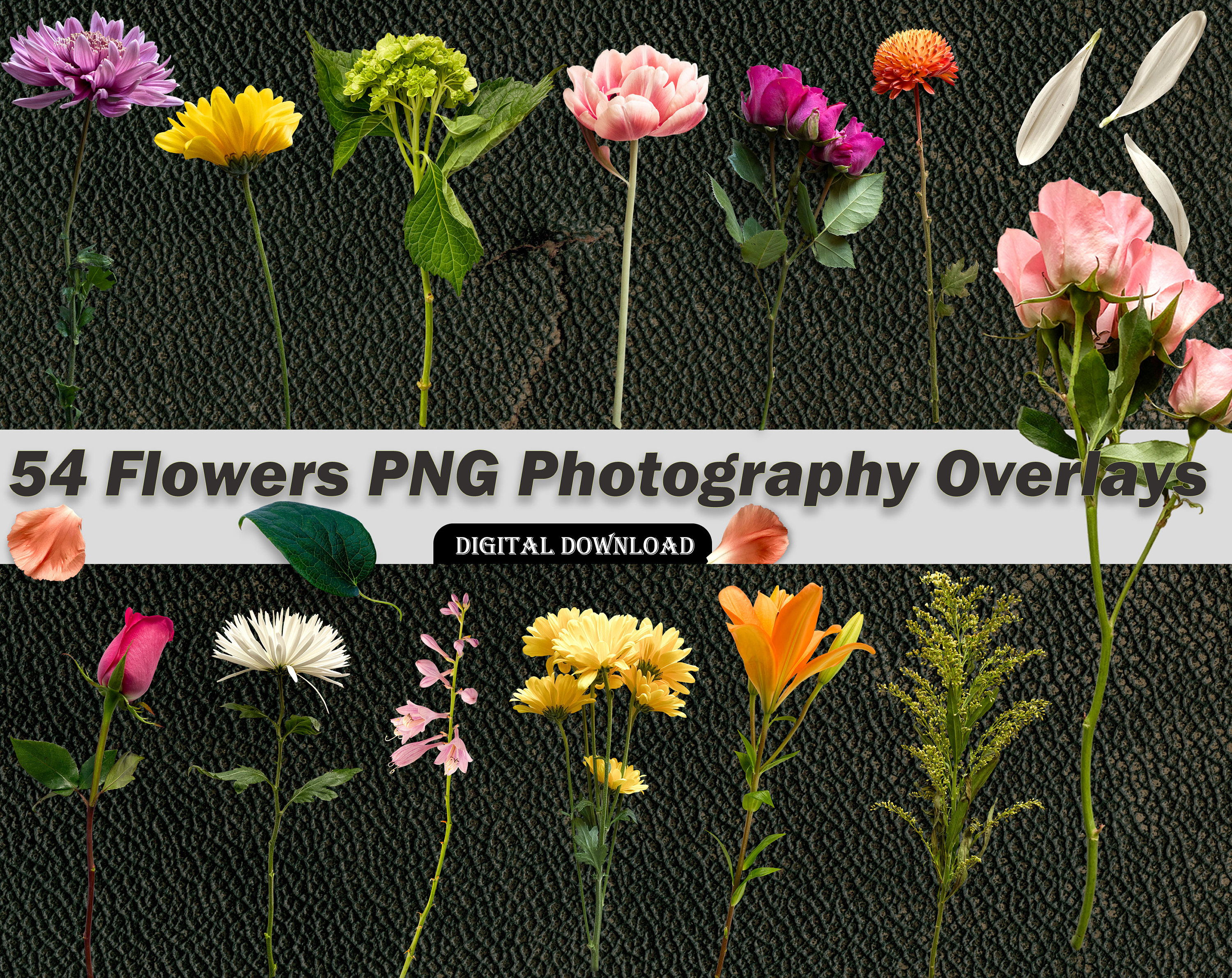 Real Flowers Png Format
