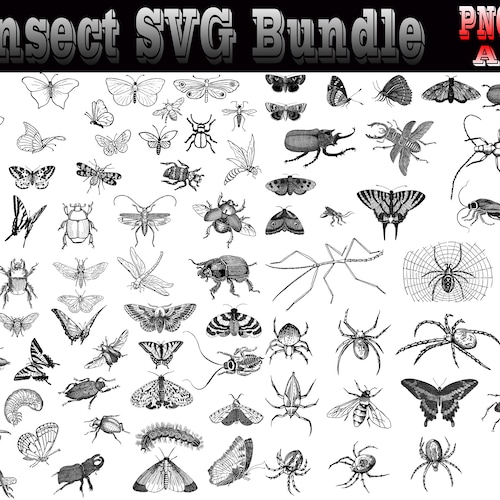 Ladybug fly vector silhouette bugs dxf Stag beetle SVG cut file Horned ...