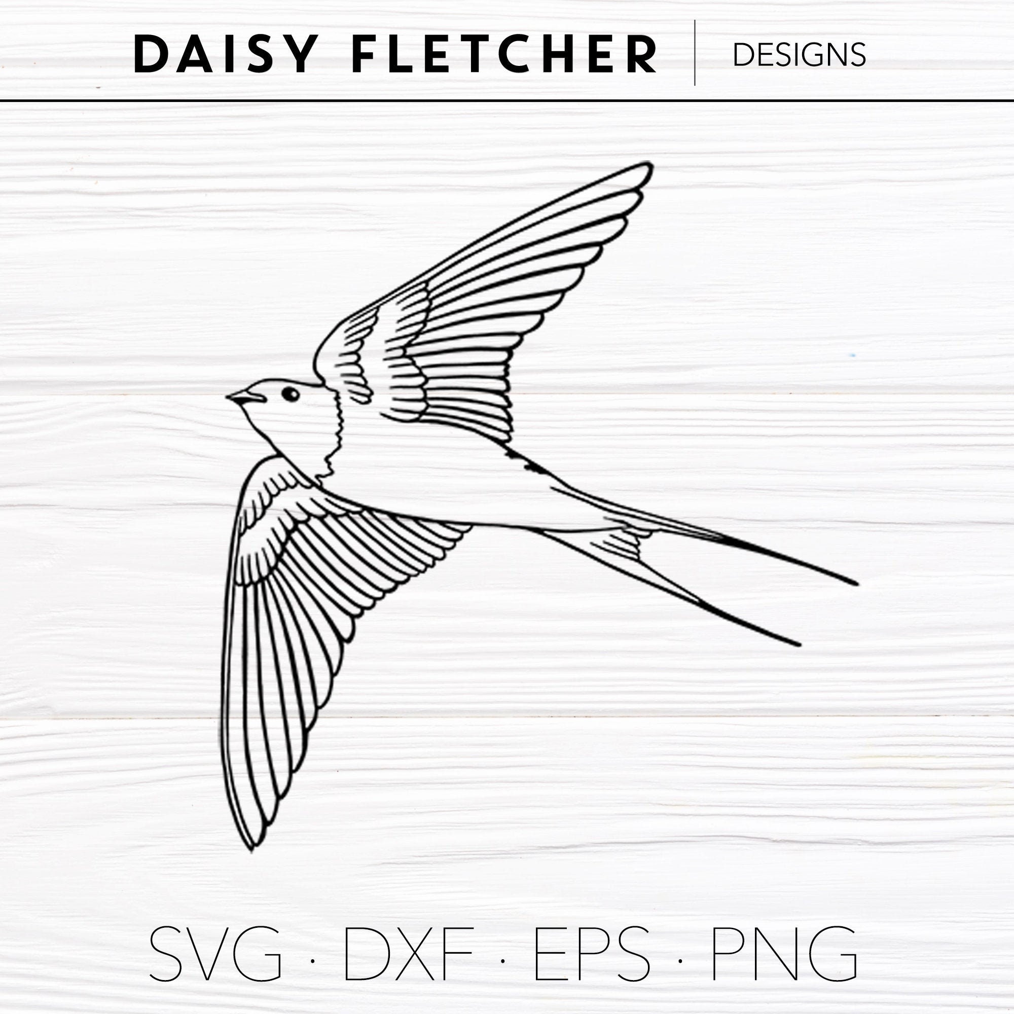 Flying Swallow Bird Drawing