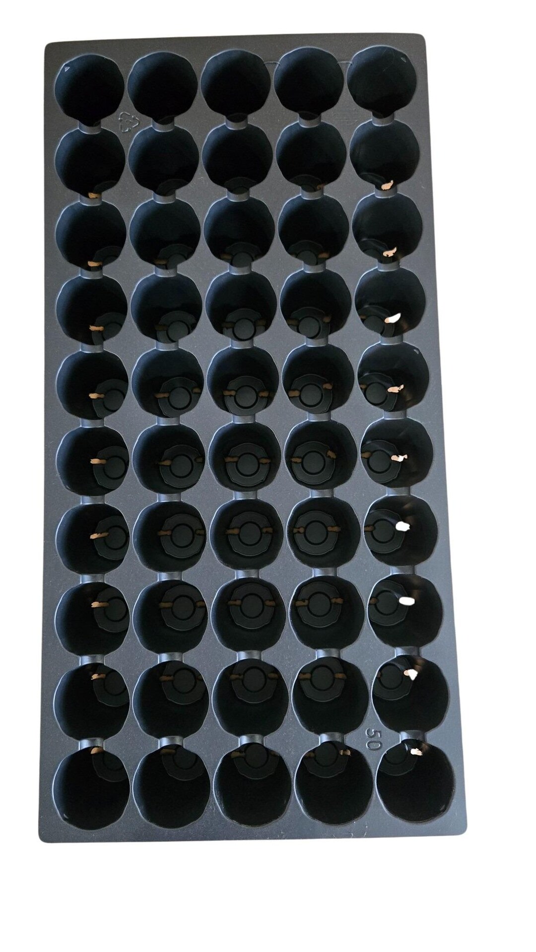 Plug Tray - 50 Holes per Tray - Greenhouse - Seedlings - Seed Starting ...