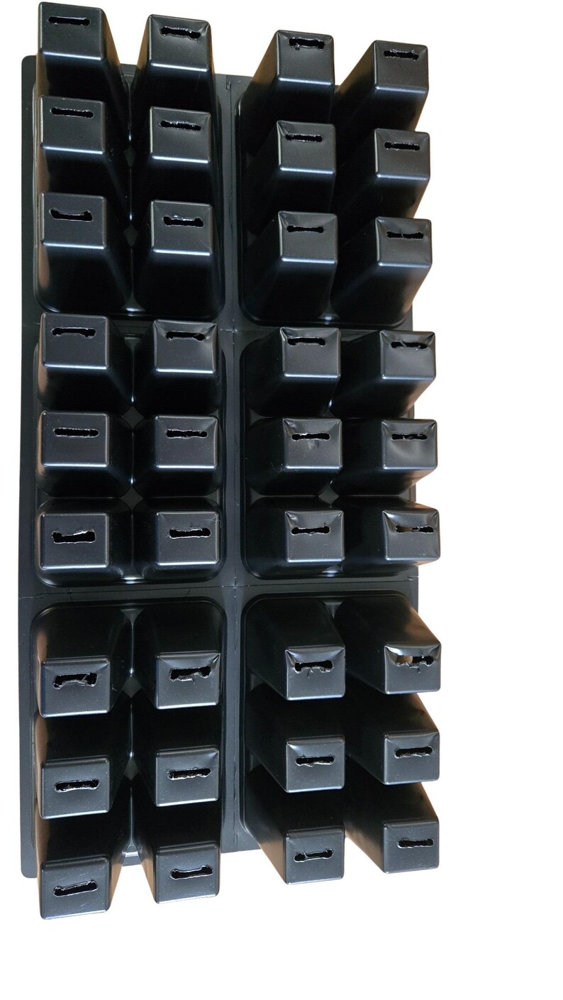 Seed Starting Tray Inserts - Jumbo 6-cell Packs - 36 Cells per Sheet ...