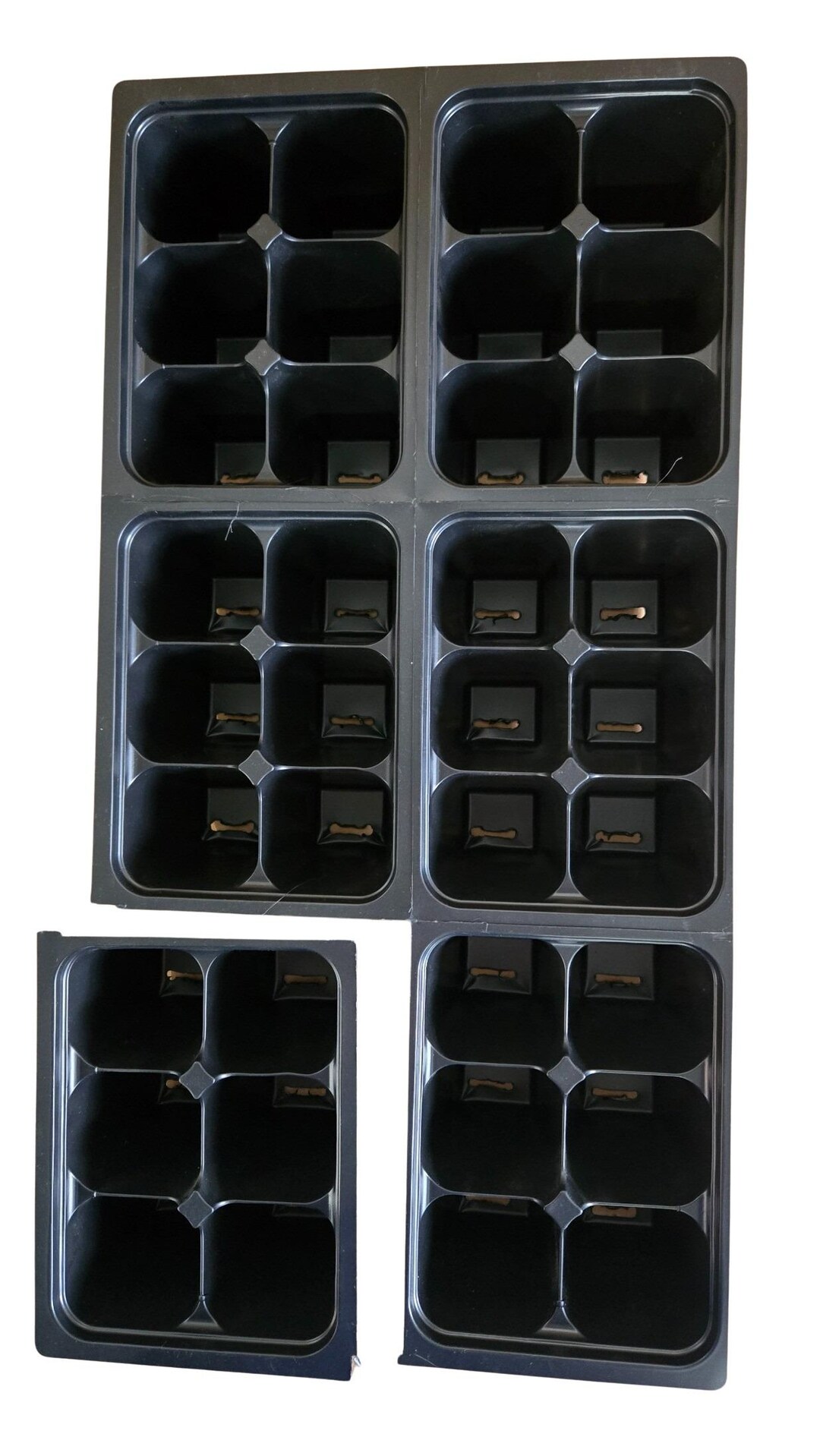 Seed Starting - 0606 Inserts for Growing Trays (6 Trays of 6 Holes per ...