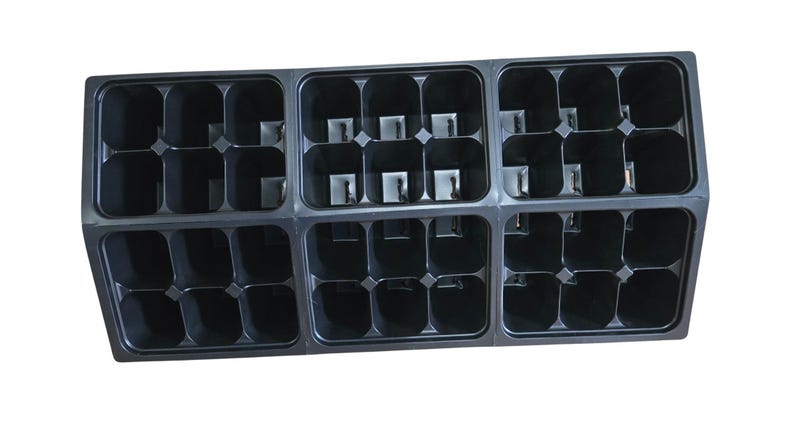 Seed Starting Tray Inserts - Jumbo 6-cell Packs - 36 Cells per Sheet ...
