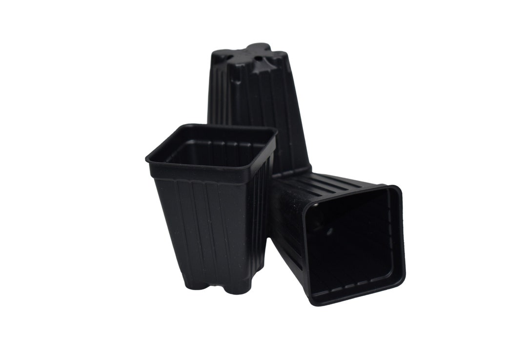 Small Square 2.5" Black Plastic Flower Pots – Extra Deep Seedling ...