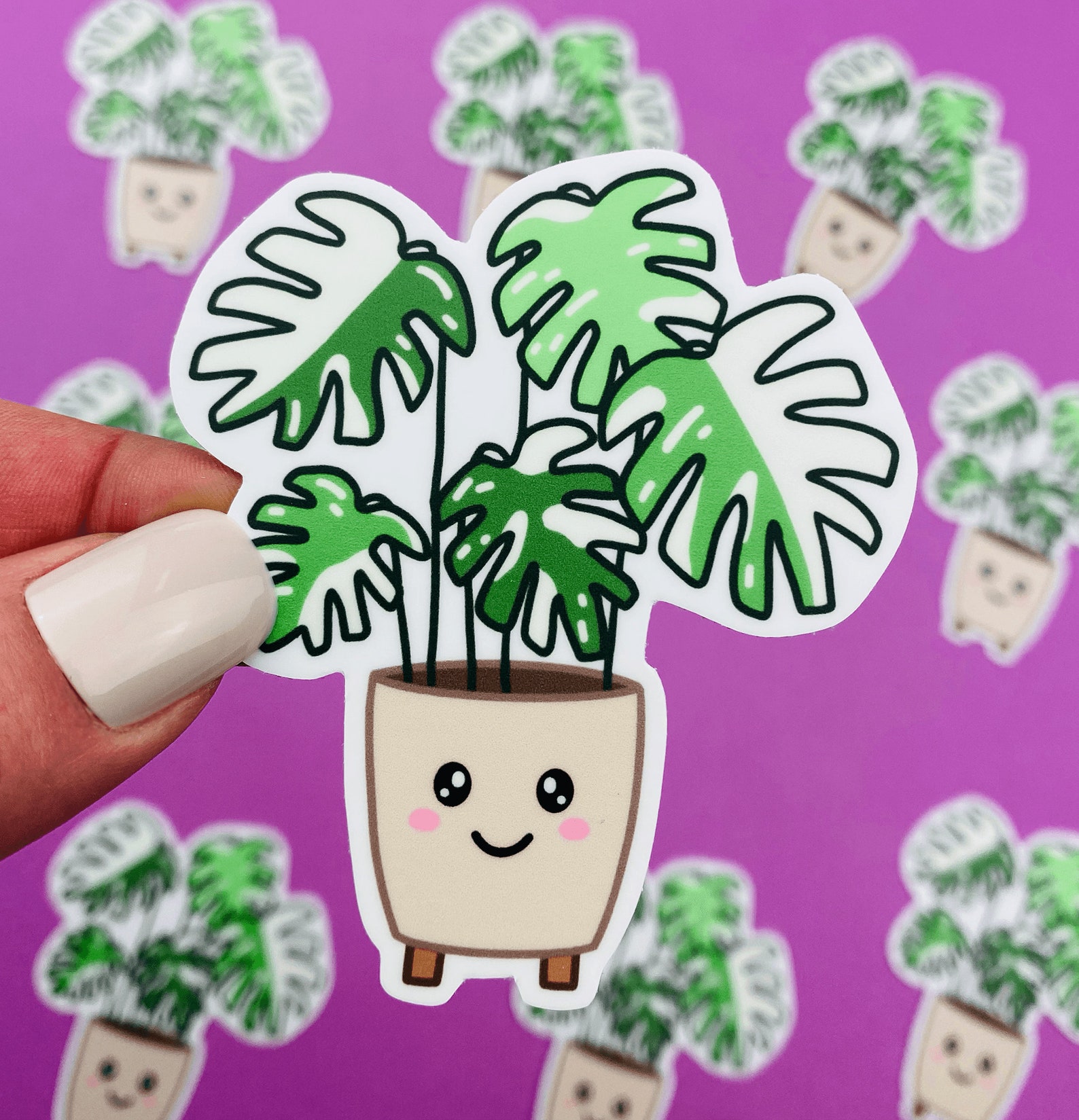 Variegated Monstera Plant Sticker Rare Plant Sticker for | Etsy