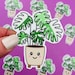 Variegated Monstera Plant Sticker Rare Plant Sticker for - Etsy