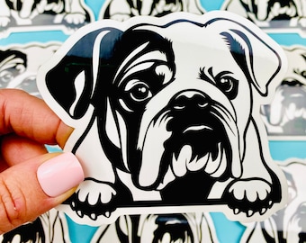 Trailer Park Boys Ricky Atodaso Sticker Officially Licensed - Etsy