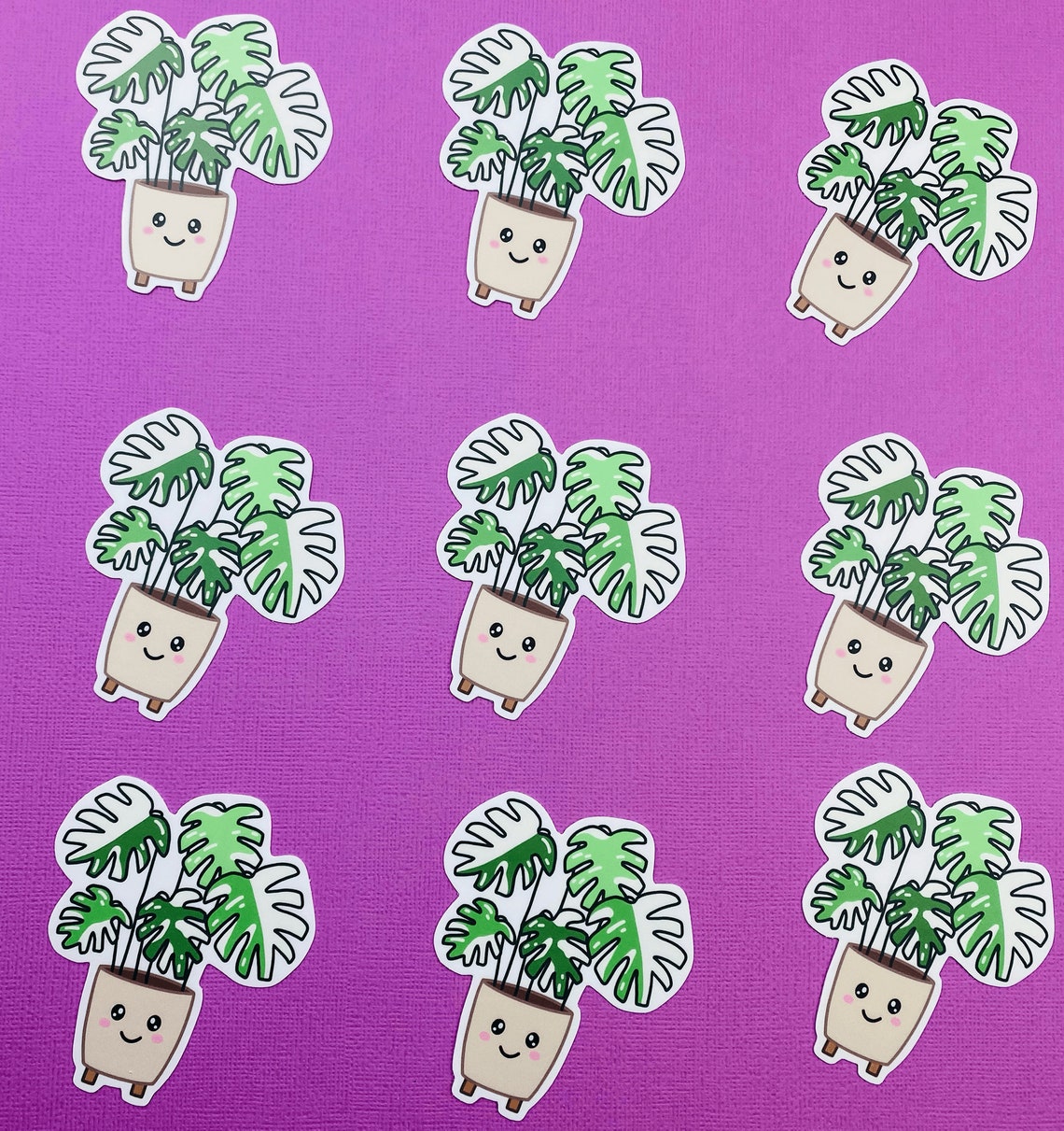 Variegated Monstera Plant Sticker Rare Plant Sticker for | Etsy