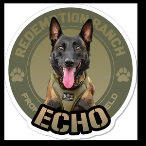 Custom K9 Unit Vinyl Sticker: Police Dog, Law Enforcement, Handler - 4 ...