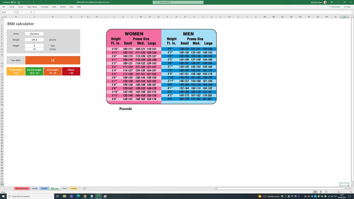 MS Excel Spreadsheet Template; BMI, Body Mass Index, Steps, Blood ...
