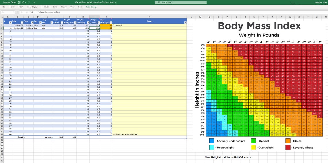 MS Excel Spreadsheet Template; BMI, Body Mass Index, Steps, Blood ...