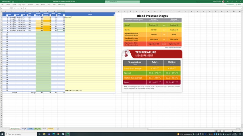 MS Excel Spreadsheet Template; BMI, Body Mass Index, Blood Pressure ...