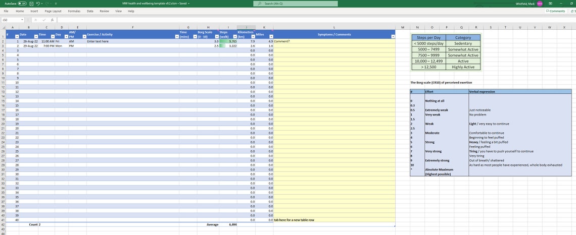 MS Excel Spreadsheet Template; BMI, Body Mass Index, Blood Pressure ...