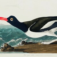 Paul Klee, Animals in an Enclosure Print, Paul Klee Print, Abstract ...