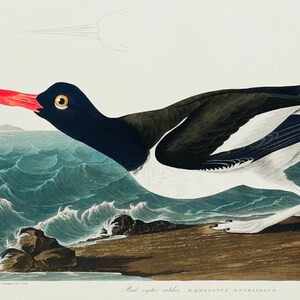 Paul Klee, Animals in an Enclosure Print, Paul Klee Print, Abstract ...