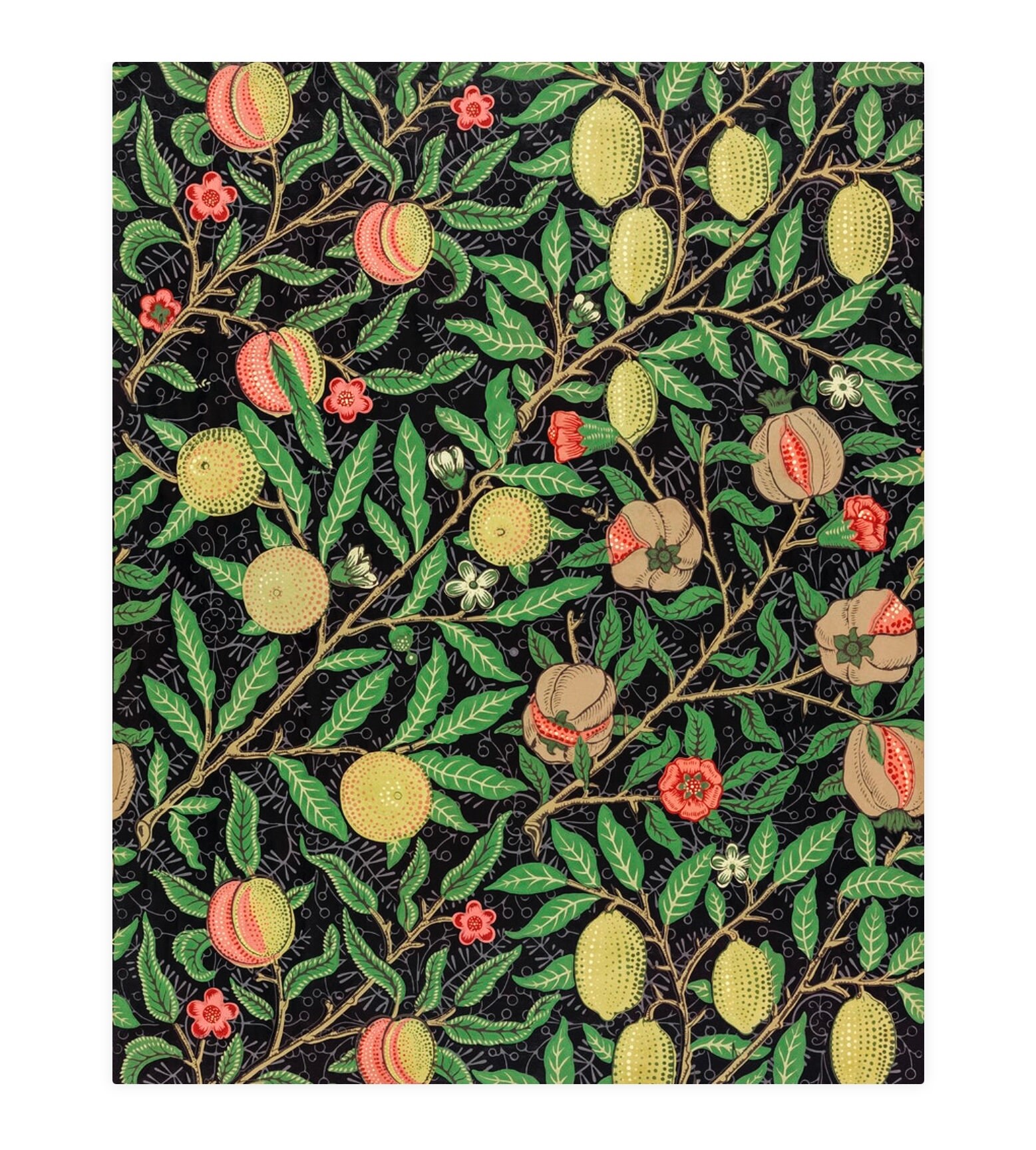 Vintage William Morris Fruit Print, William Morris Print, Fruit Print ...
