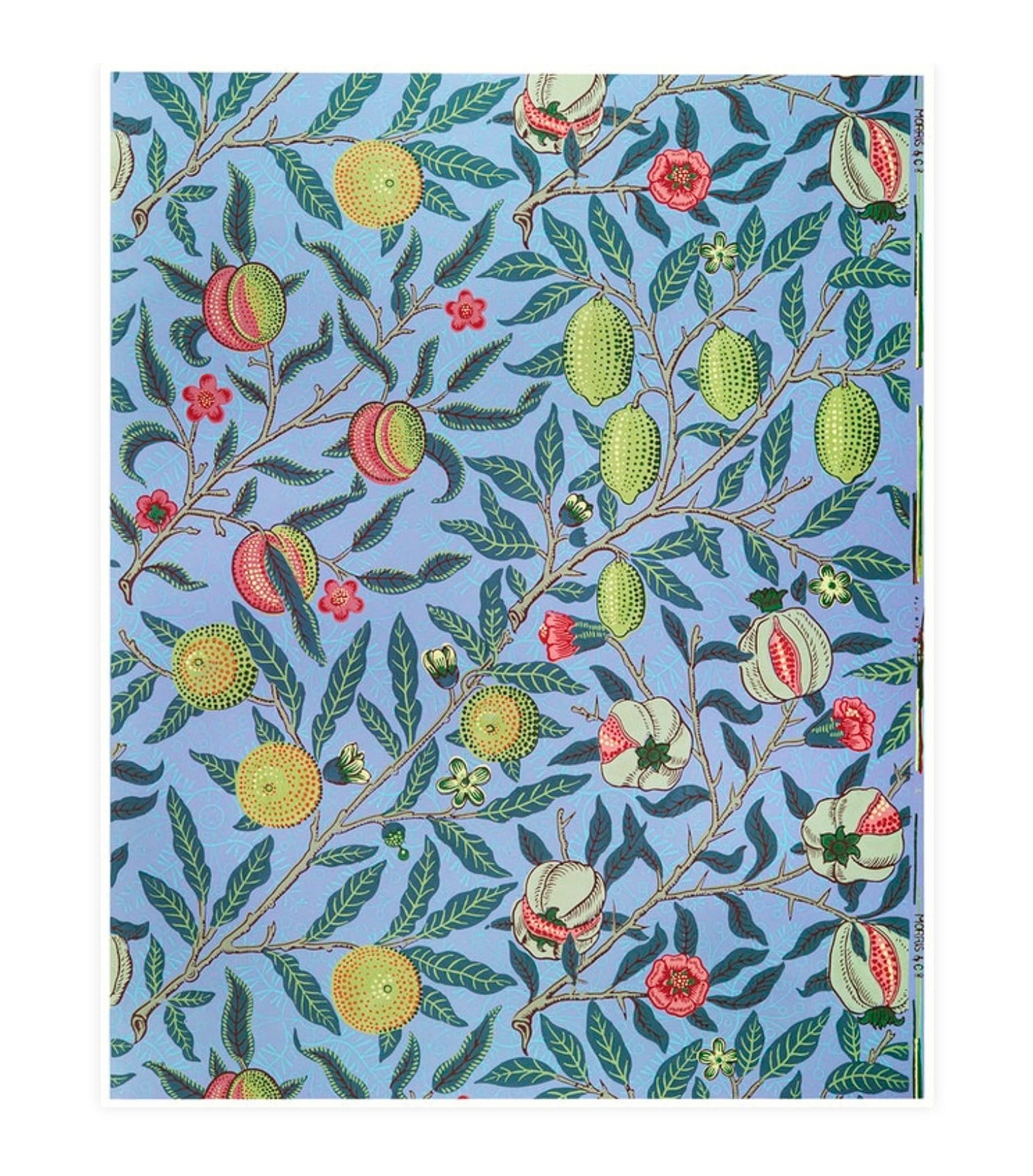 Vintage William Morris Fruit Print, William Morris Print, Fruit Print ...