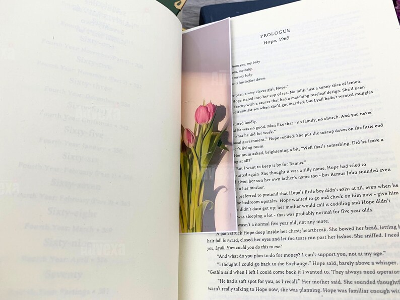 All the Young Dudes Book Binding standard Version. Rebinding Book. Full ...