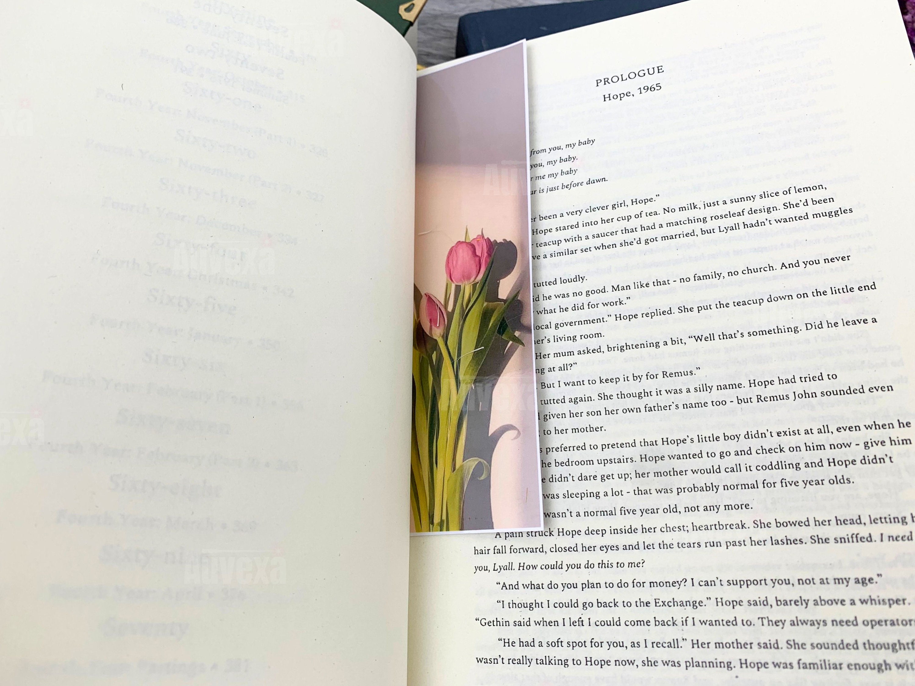 All the Young Dudes Book Binding standard Version. Rebinding Book. Full ...