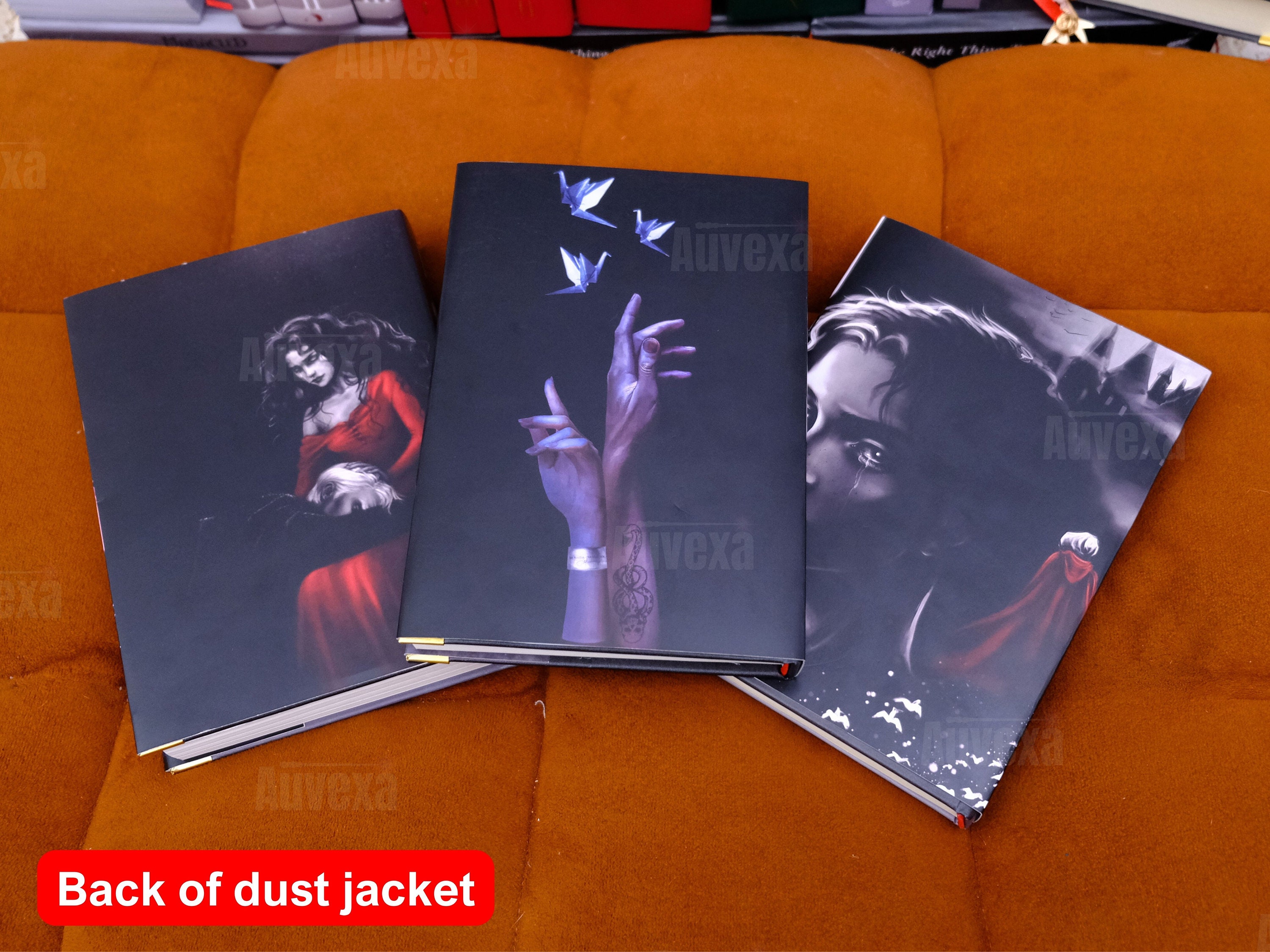 Manacled Book the Ultimate High-quality Magical Saga: Exquisite Art ...