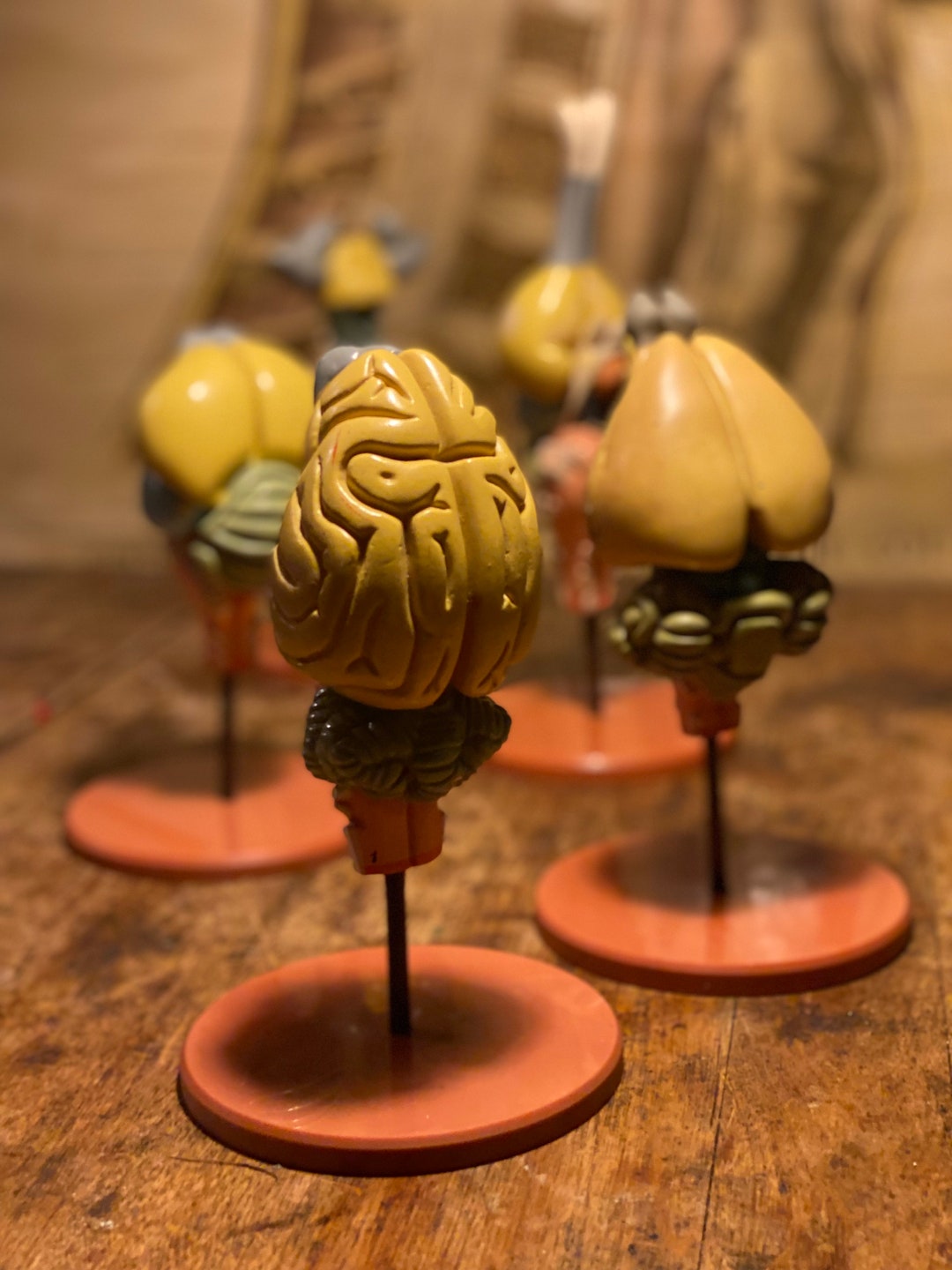 Vintage Set of Five Animal Brains Anatomical School Didactic Model ...