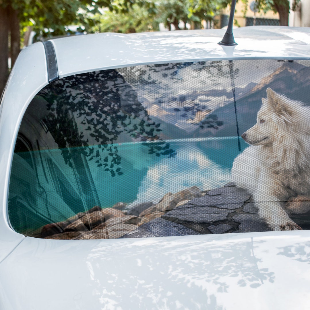 Custom Perforated Windows for Vehicle - Shops - Restaurant - Etsy