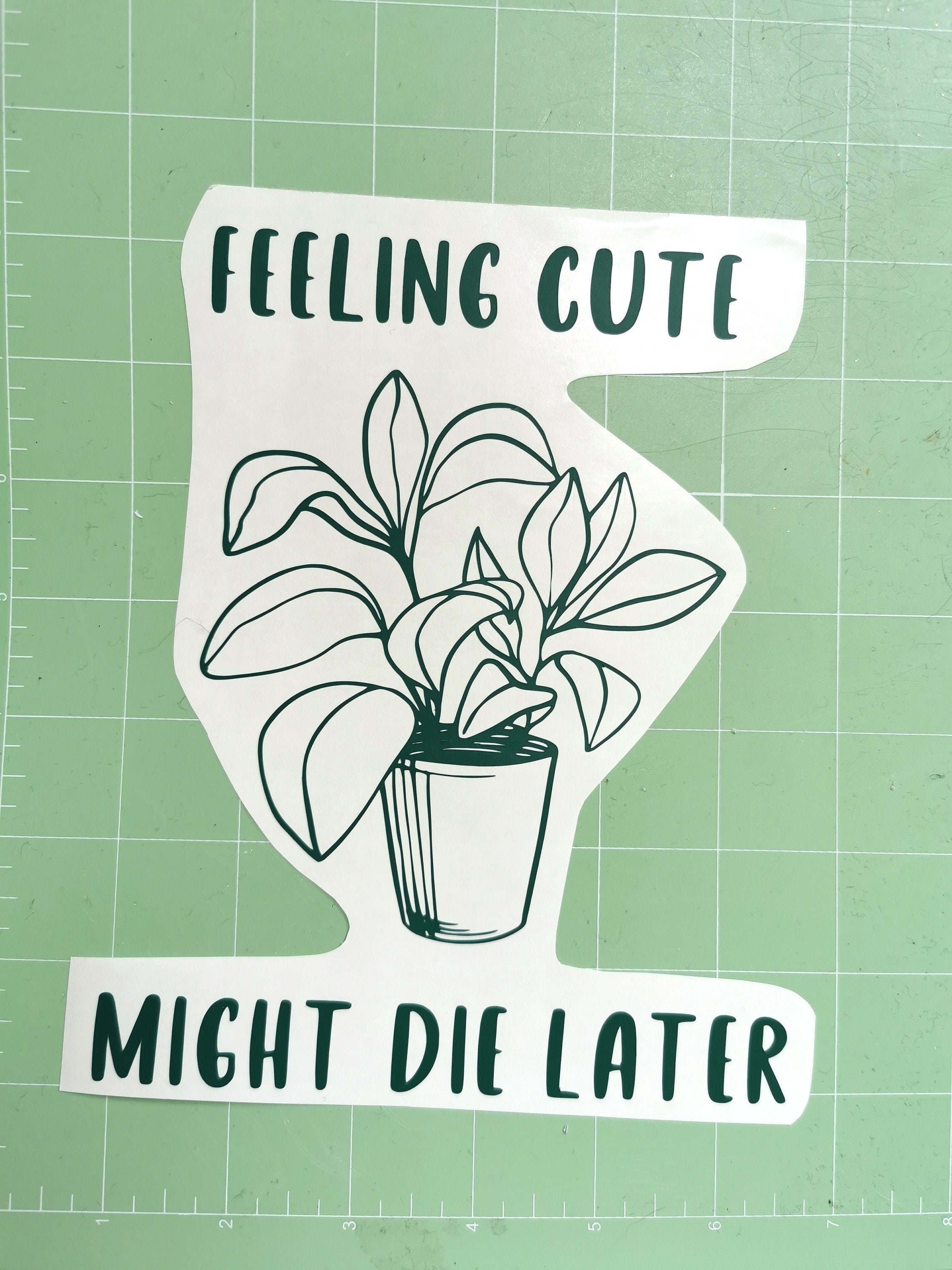 Feeling Special Stickers