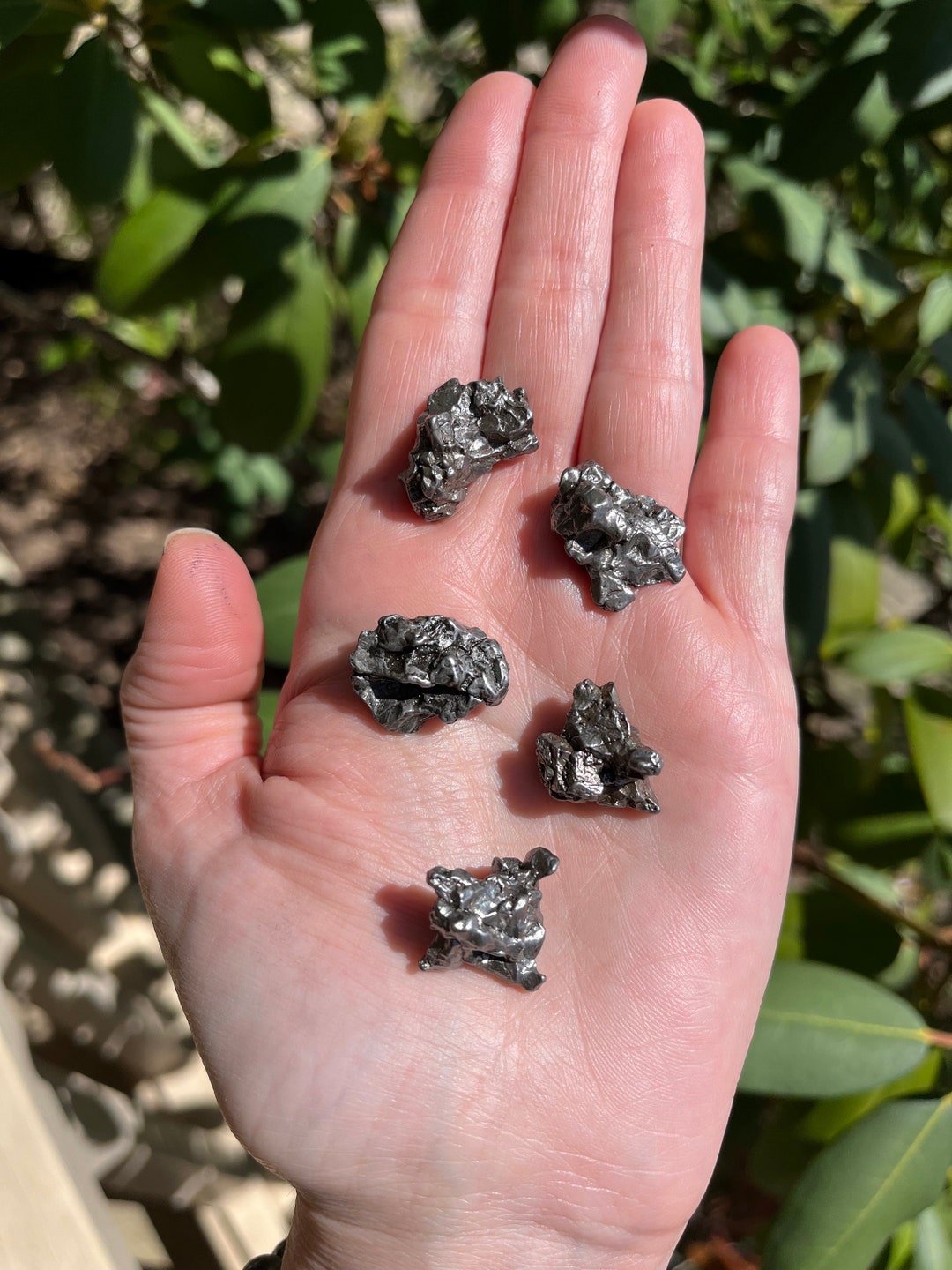 CAMPO DEL CIELO Meteorite / Argentinian Meteorite / Space Rock / Iron ...