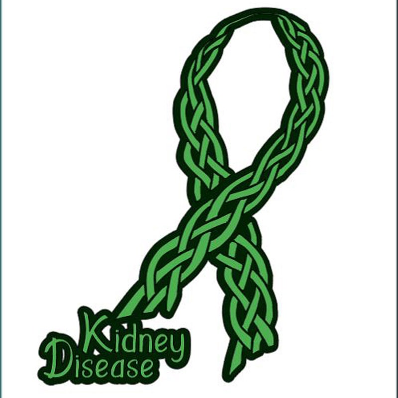 Kidney Disease Ribbon - Etsy