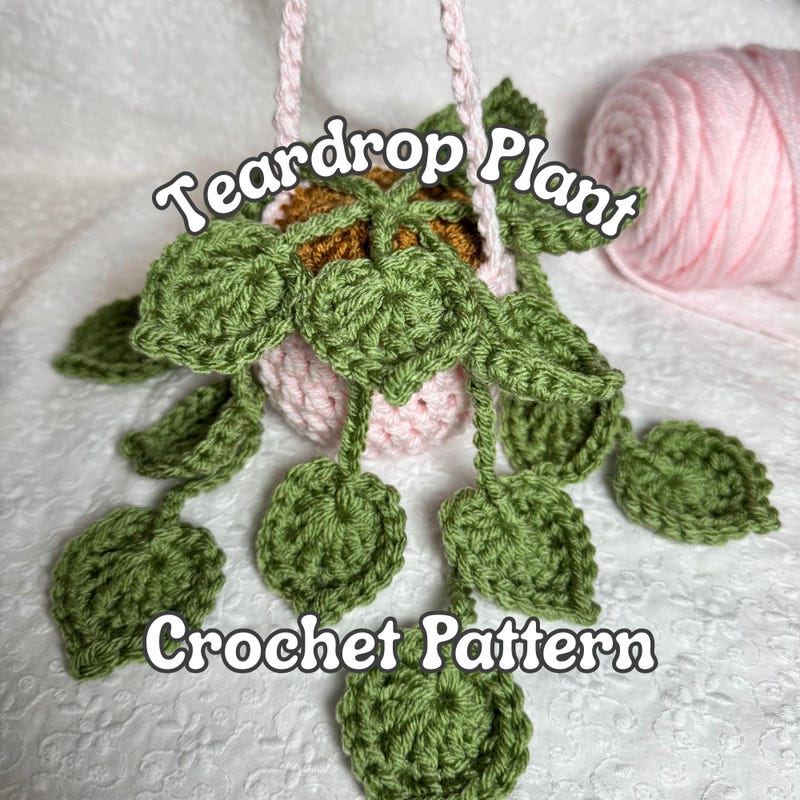 Teardrop Plant Crochet - Etsy