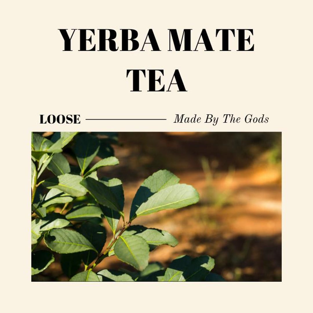 Yerba Mate Tea – Energising Tea for Focus & Motivation, Loose Leaf ...