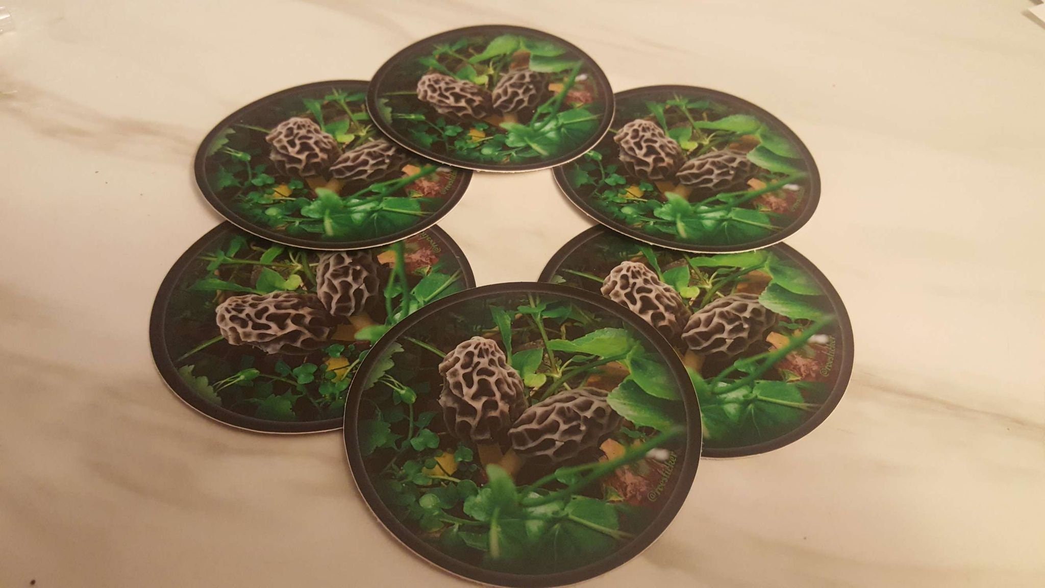 Morel Sticker | Etsy