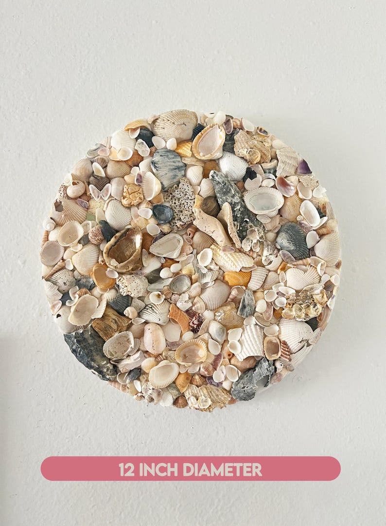Real Seashell Collage Art - Etsy
